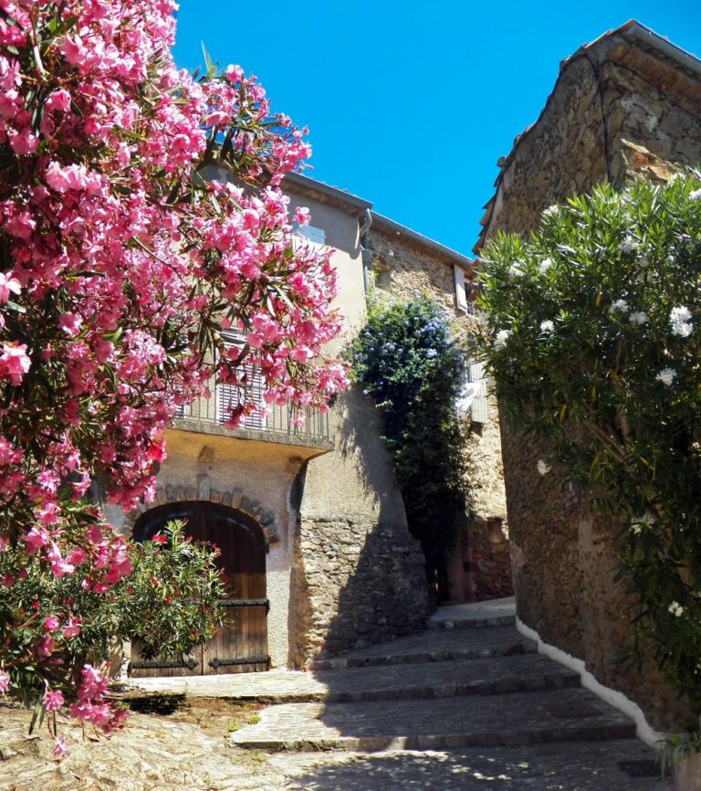 Gassin - Saint-Tropez Tourisme