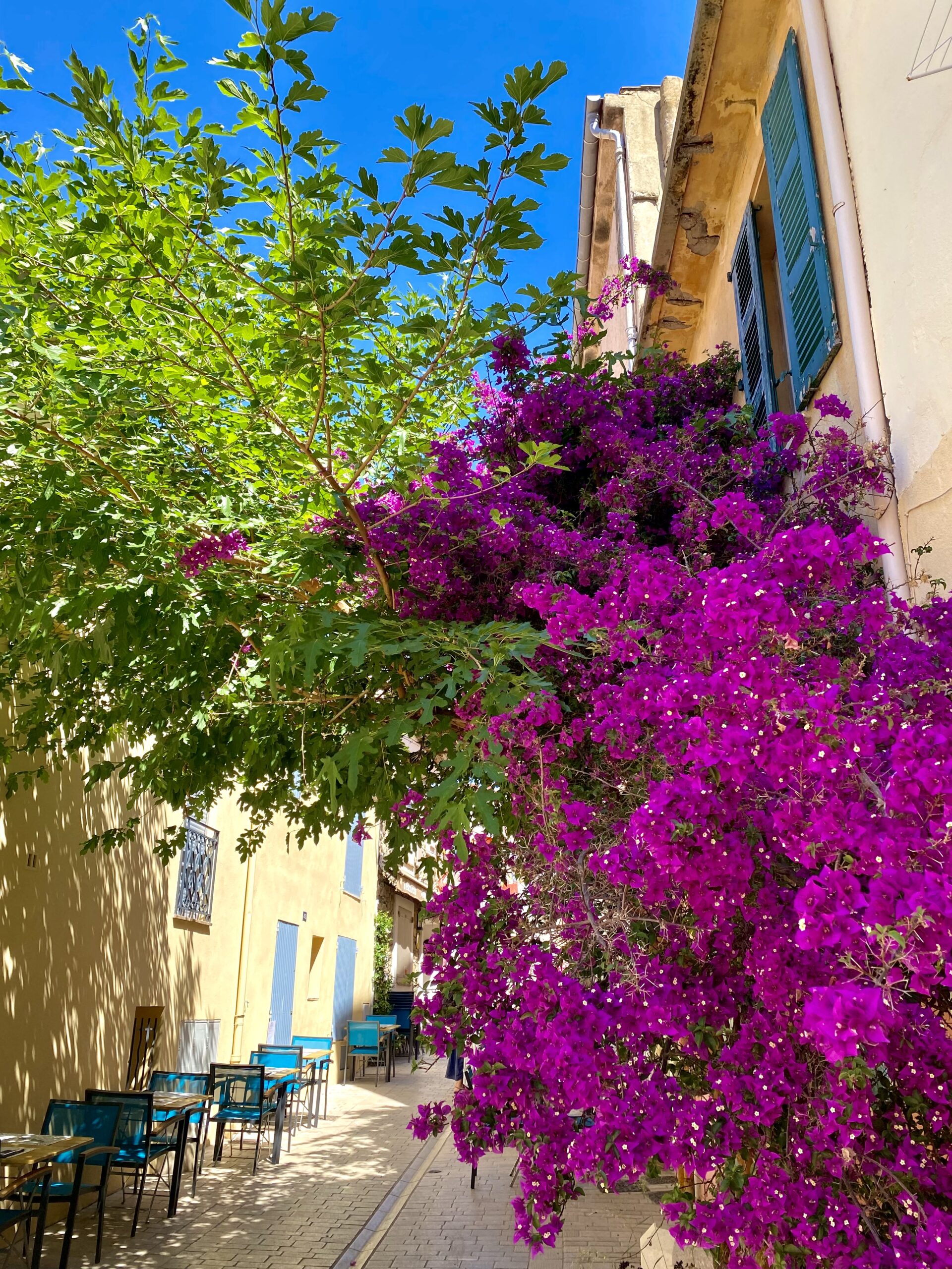 Make the most of Saint-Tropez - Saint-Tropez Tourisme